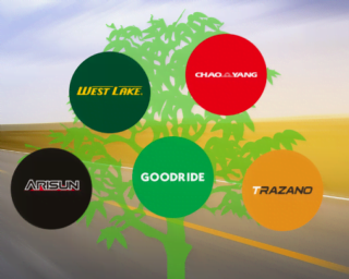 Famous Chinese Tire Brands