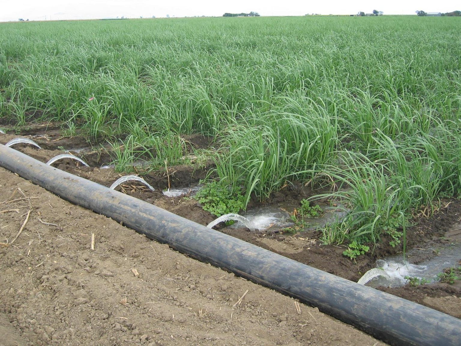 Maximize Farming Efficiency with Quality Irrigation Tires | TNR ...