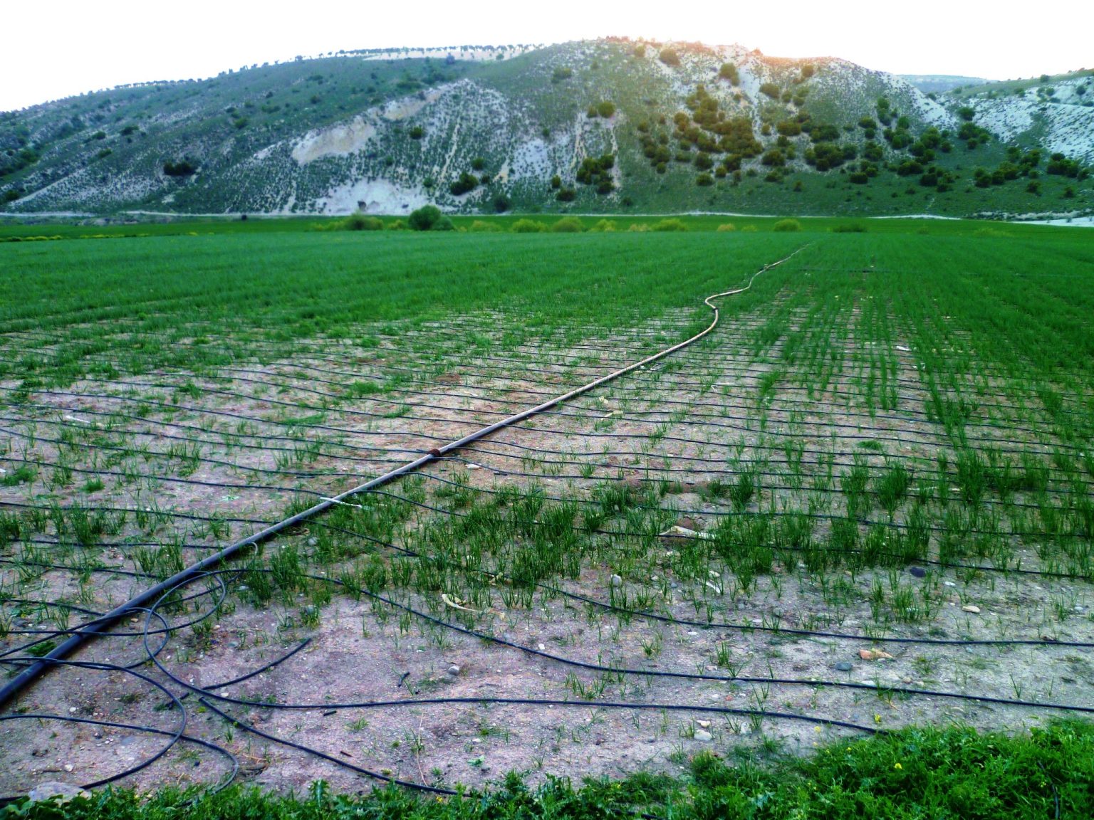 Maximize Farming Efficiency with Quality Irrigation Tires | TNR ...